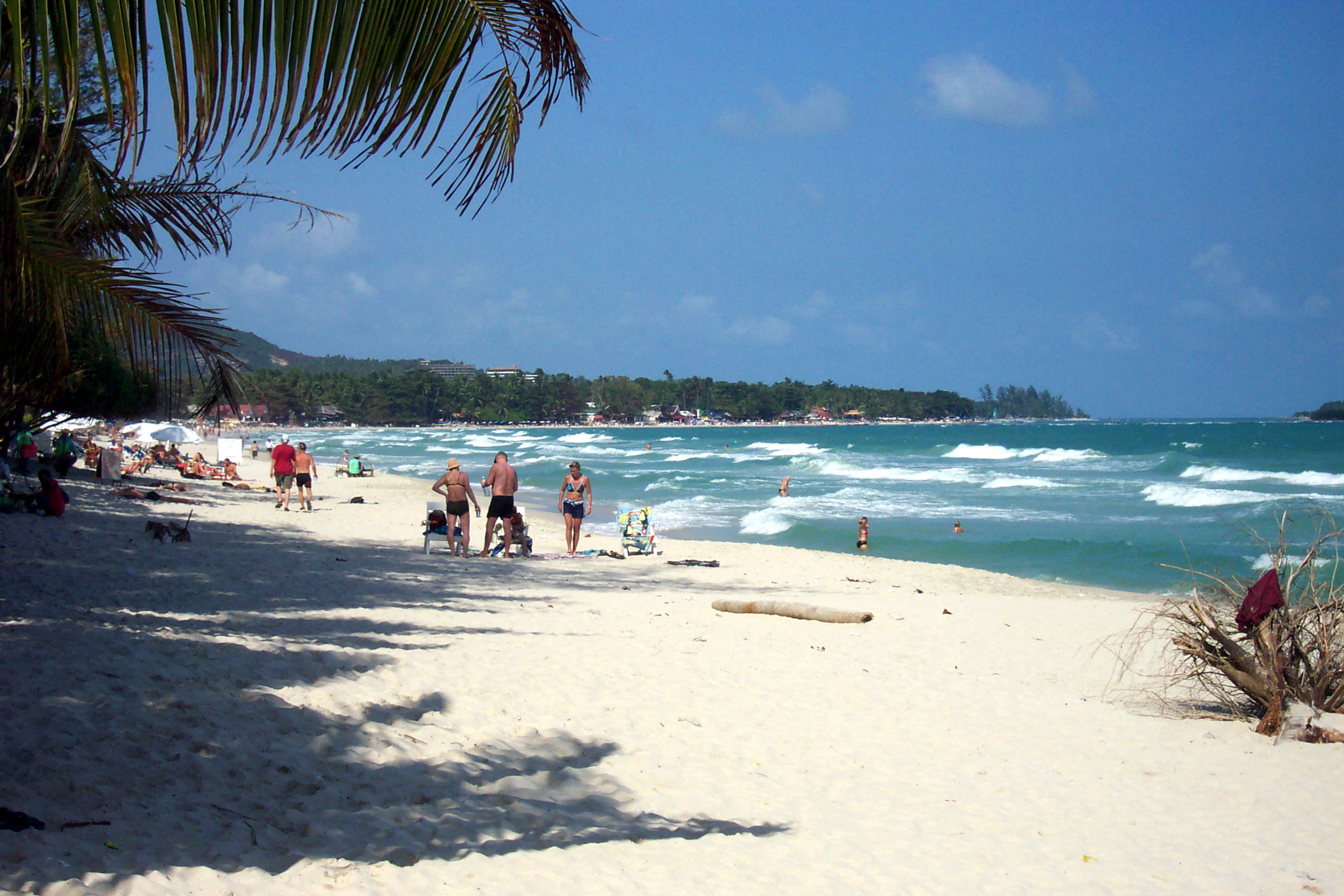 Samui | SEA Undersea